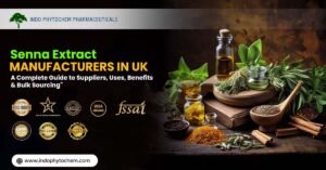Senna Extract Manufacturers in UK – Suppliers & Benefits Guide